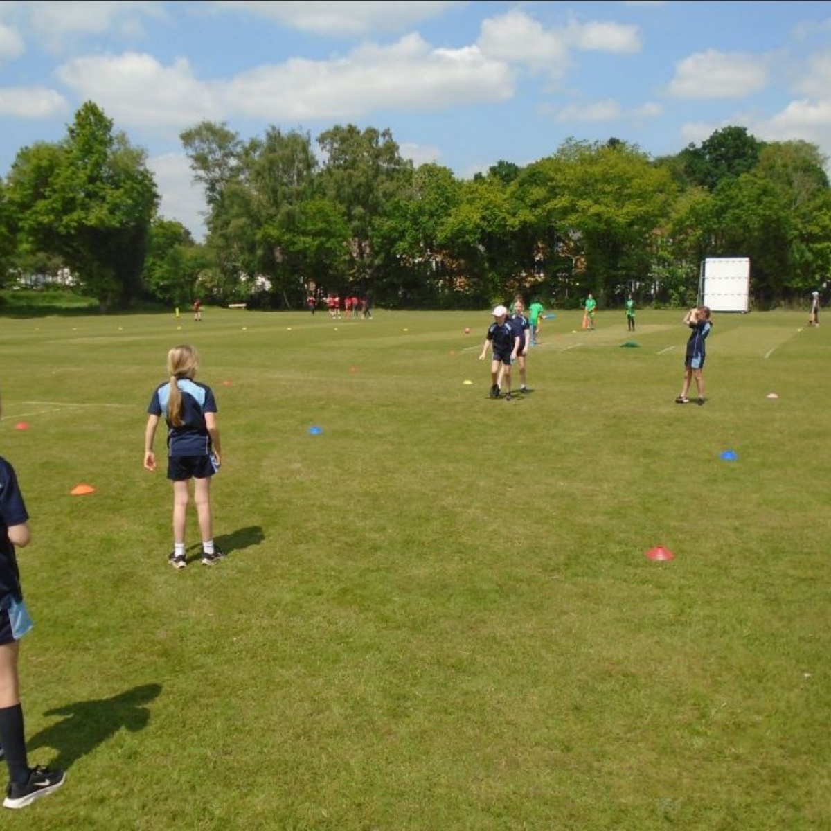 Girls Cricket - West Byfleet Junior School