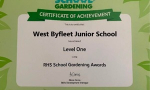 RHS School Gardening Award - West Byfleet Junior School