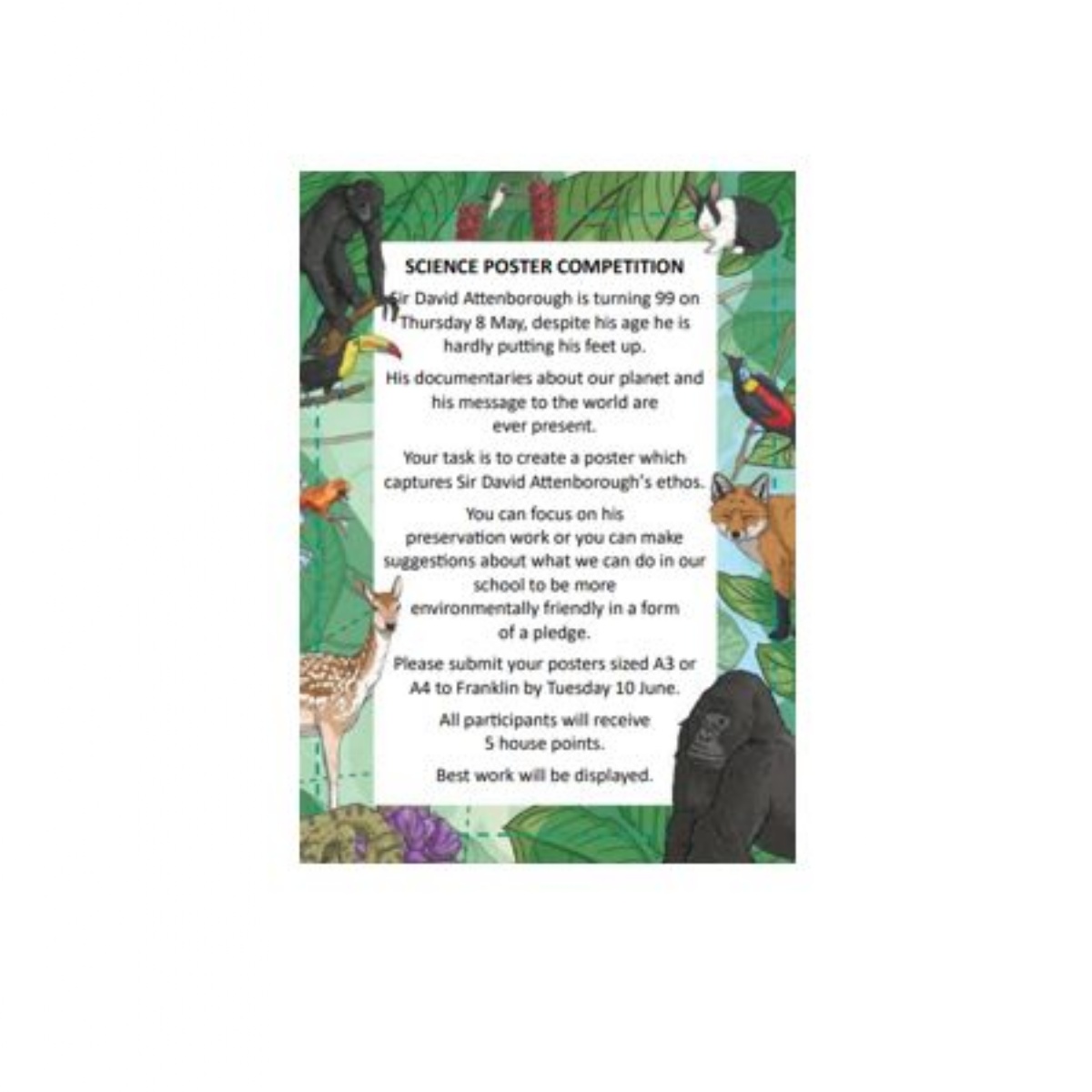 Science Poster Competition – Winners Announced! - West Byfleet Junior ...